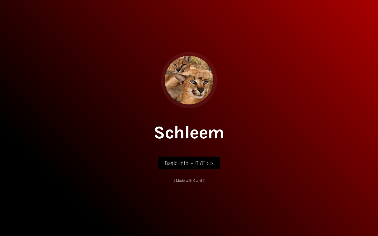 schleem